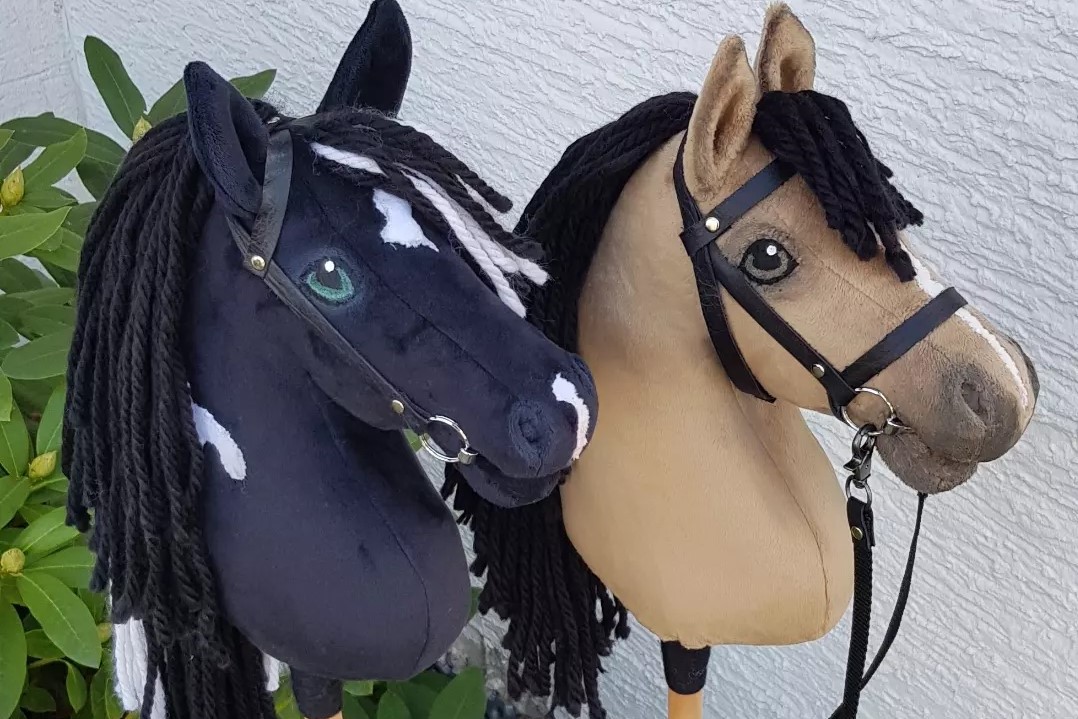 Hobby Horsing – TSV Erbach 1911 e. V. Turnabteilung (Donau)